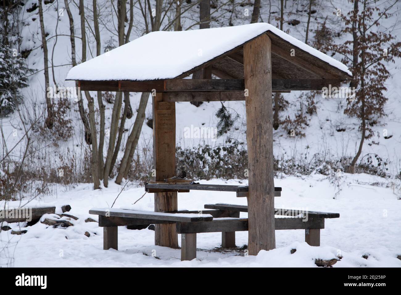 A snow-covered table and benches with a roof in the forest Stock Photo ...