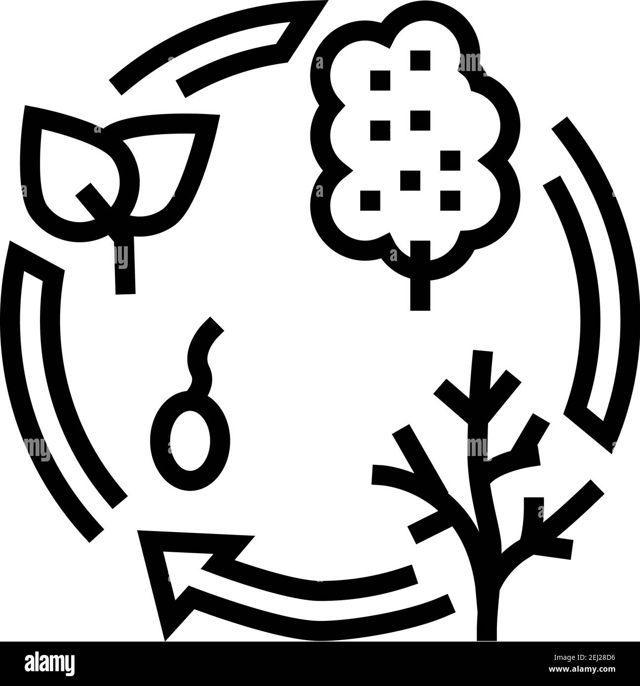 Life Cycle Icon Black