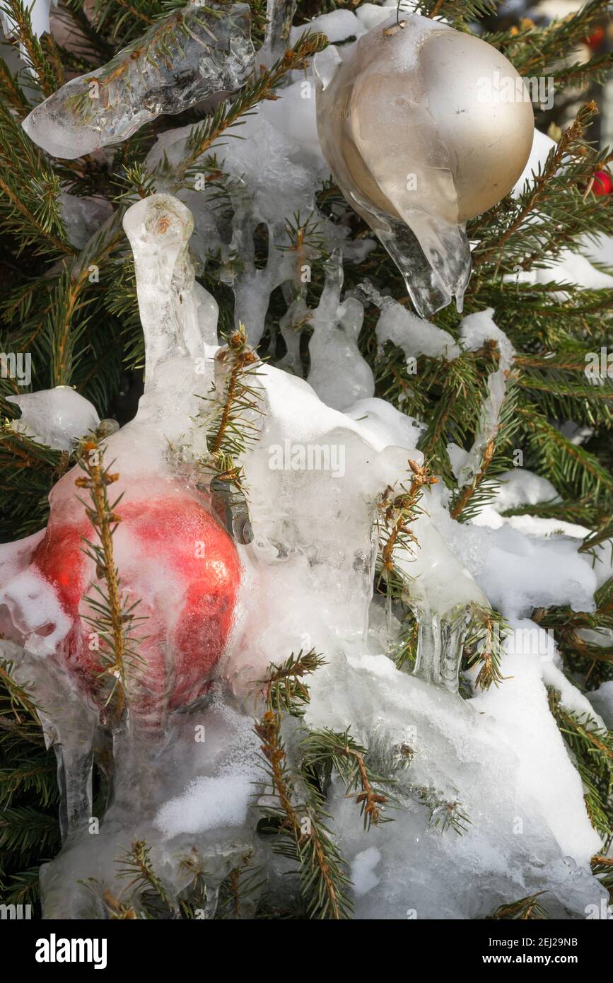 Christmas Tree Icicles