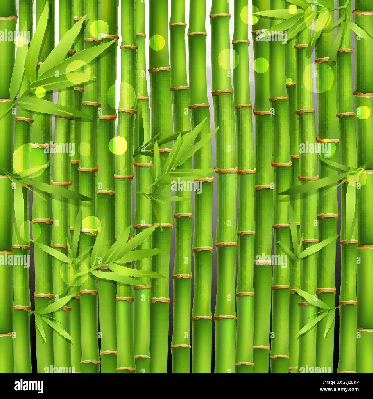 Oriental seamless green pattern composed from young tropical bamboo ...