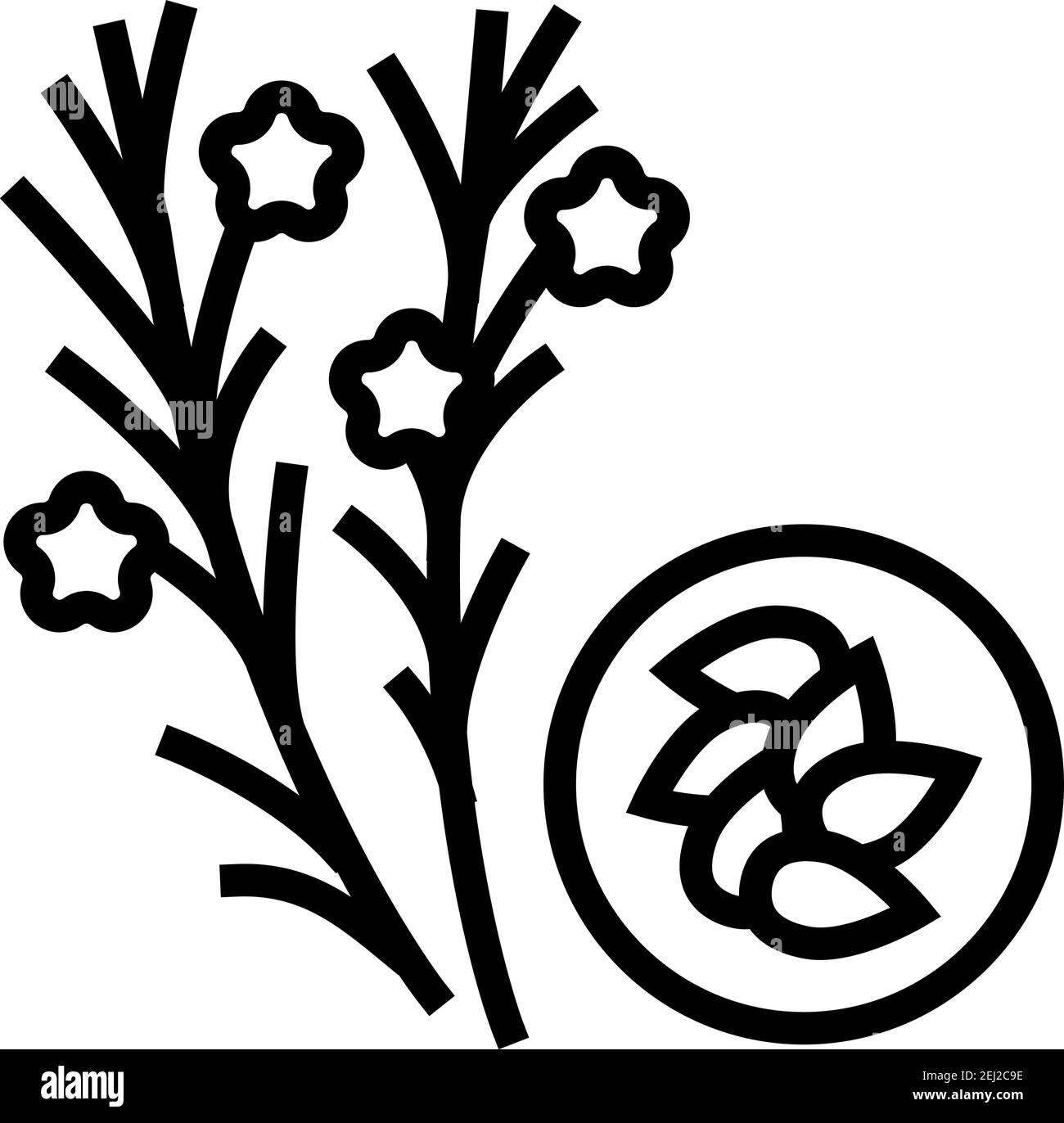 flax groat line icon vector illustration Stock Vector Image & Art - Alamy