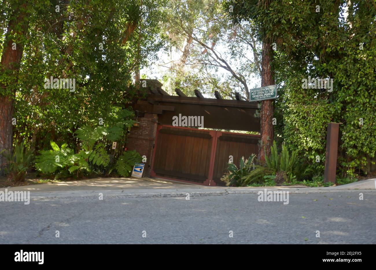 Elvira, mistress of the dark hi-res stock photography and images - Alamy