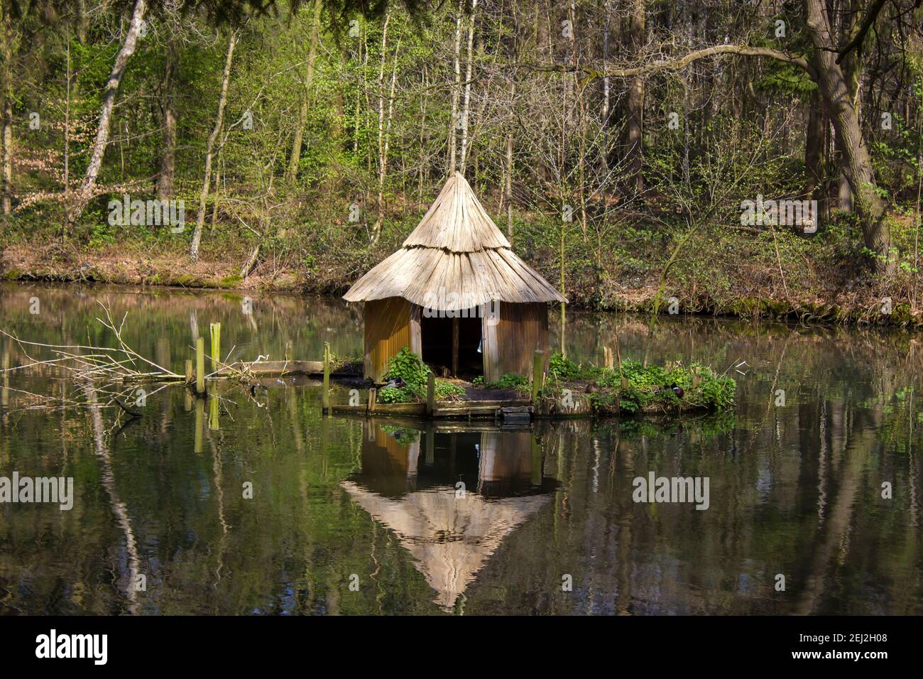 Wooden hut at the lake in summer in rural Germany Stock Photo - Alamy
