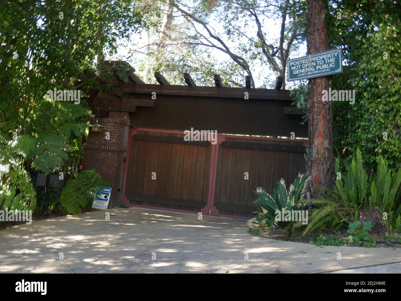 Elvira mistress of the dark hi-res stock photography and images - Alamy