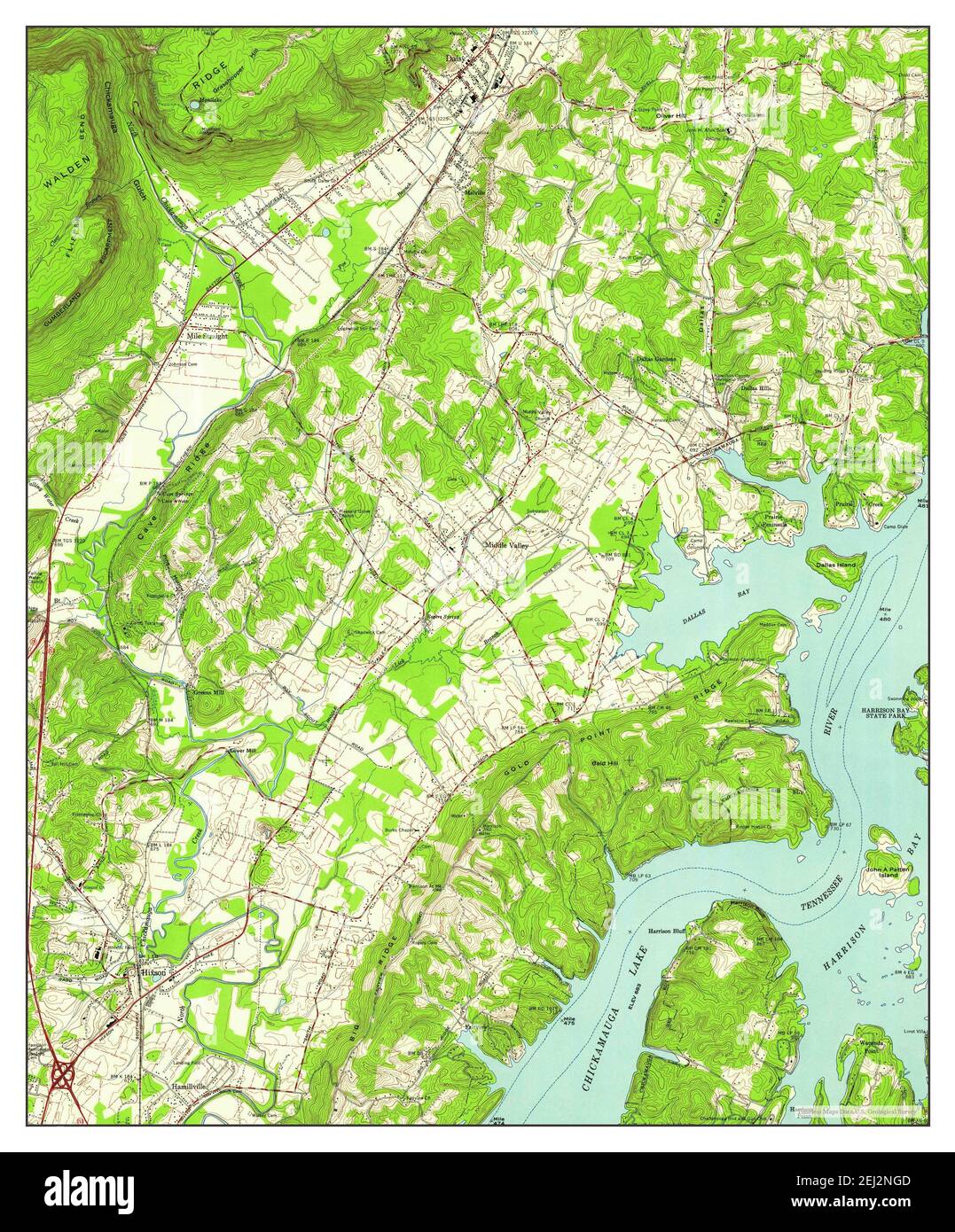 Atlas daisy hi-res stock photography and images - Alamy