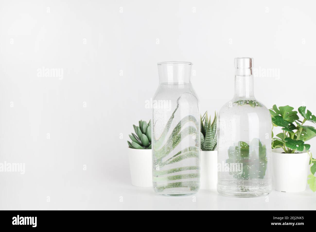plants in pots distorted through water in bottle on white background ...