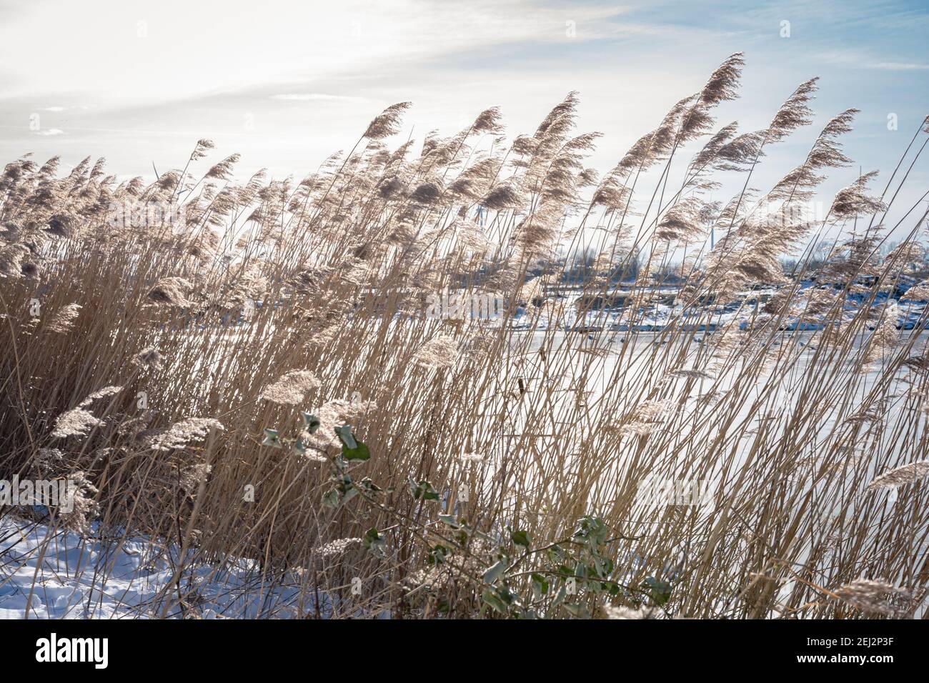 Ice plume hi-res stock photography and images - Alamy