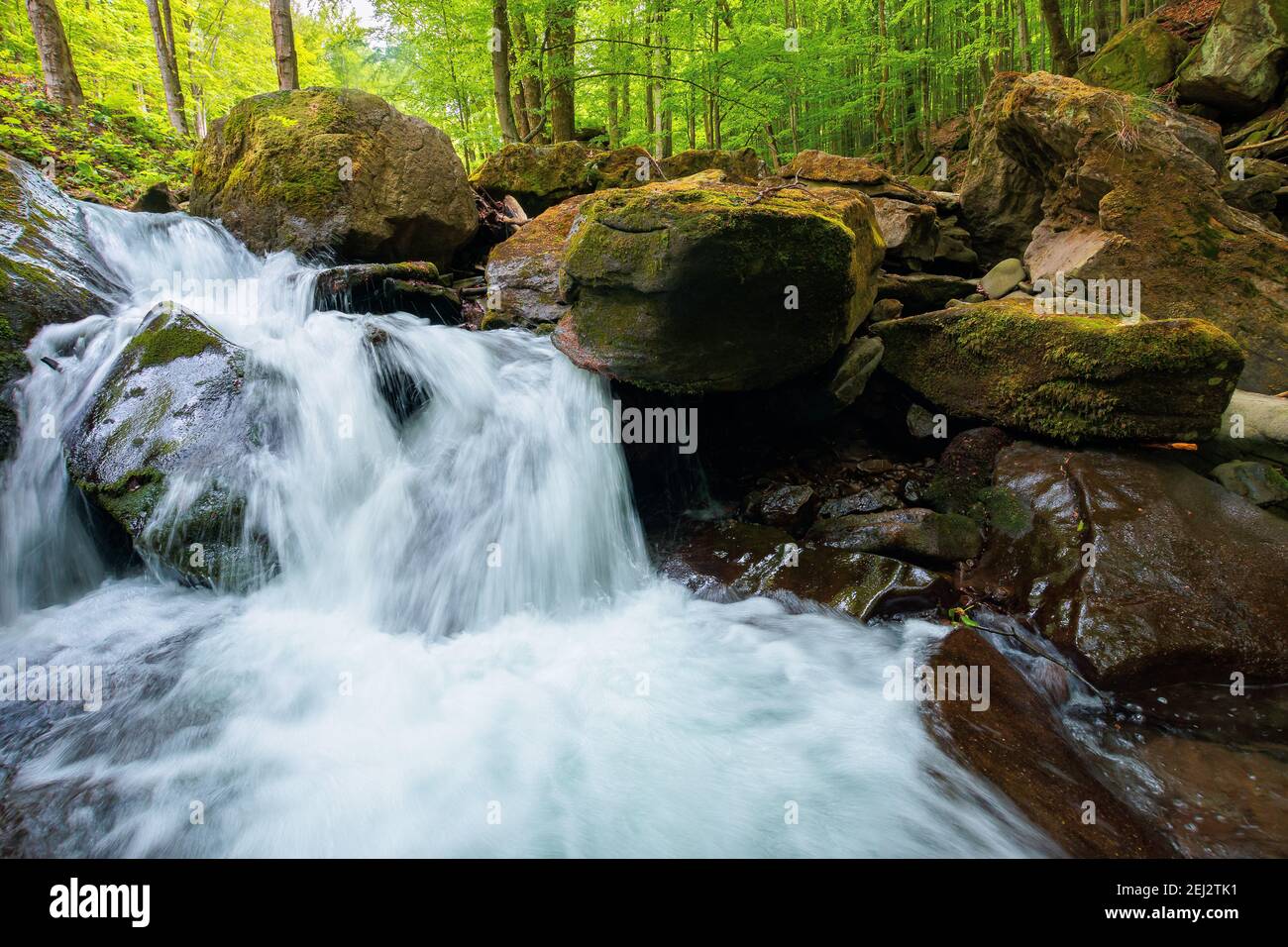 small waterfall in the forest. clean water of a mountain river flows ...