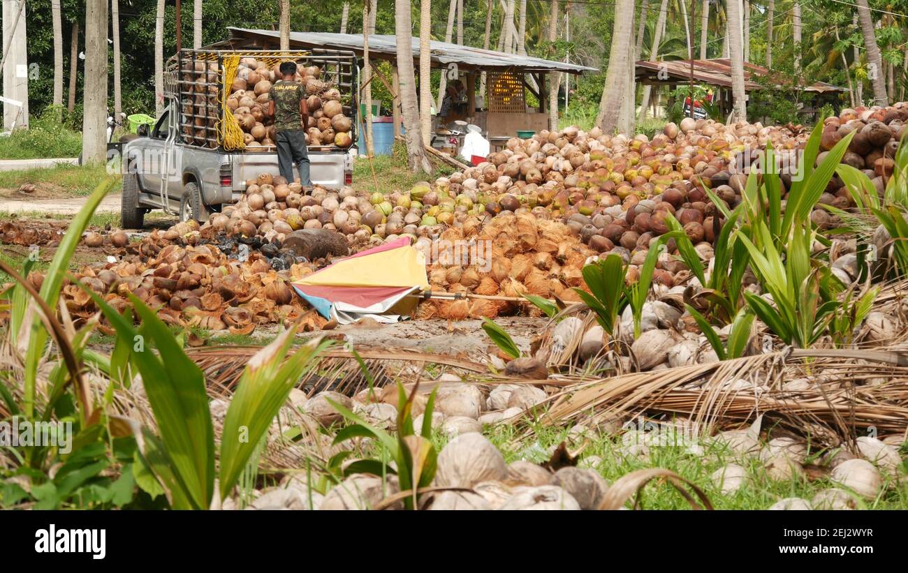 KOH SAMUI ISLAND, THAILAND - 1 JULY 2019: Asian thai men working on ...