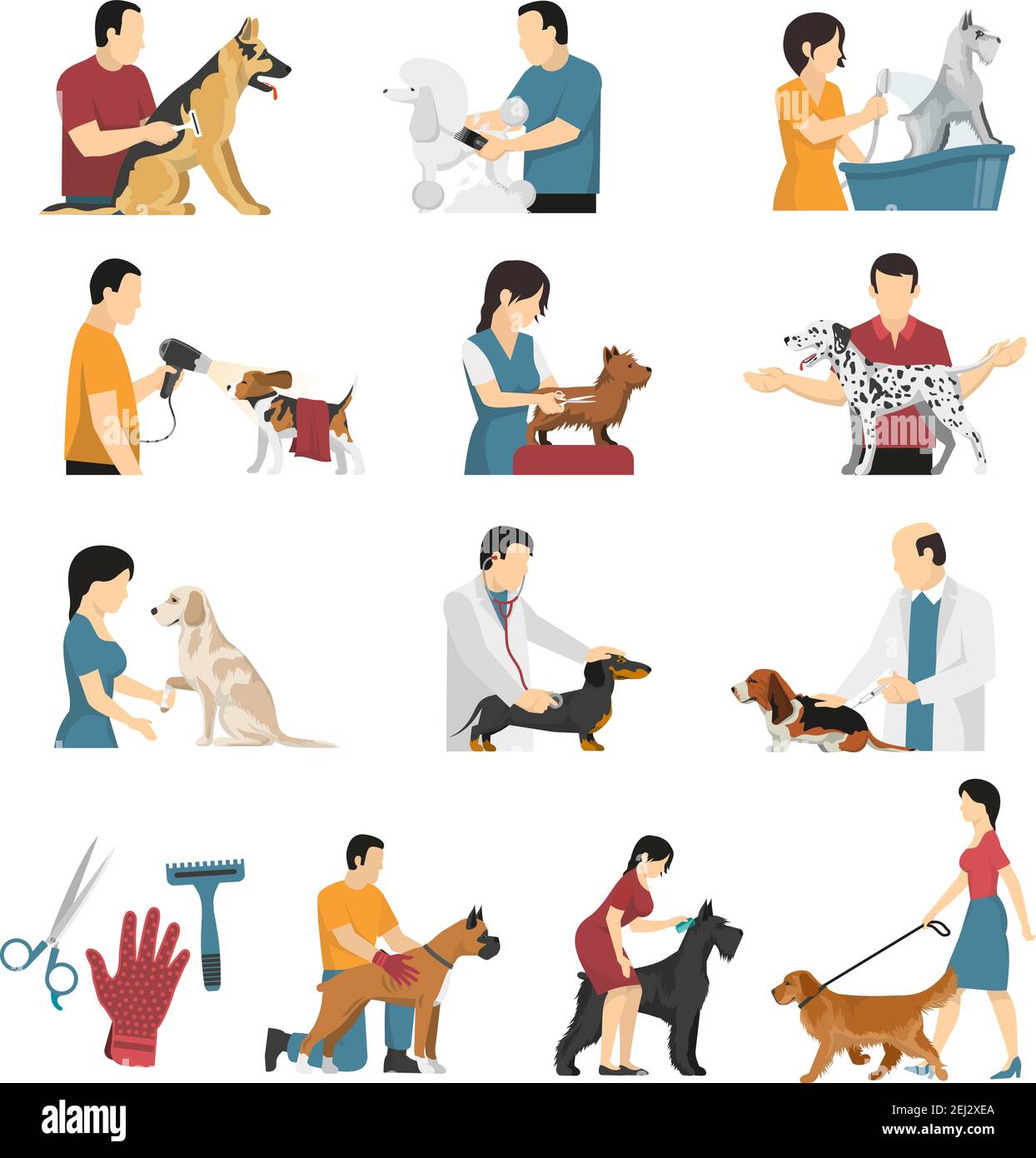 Grooming service vet dogs set of isolated flat image compositions of ...