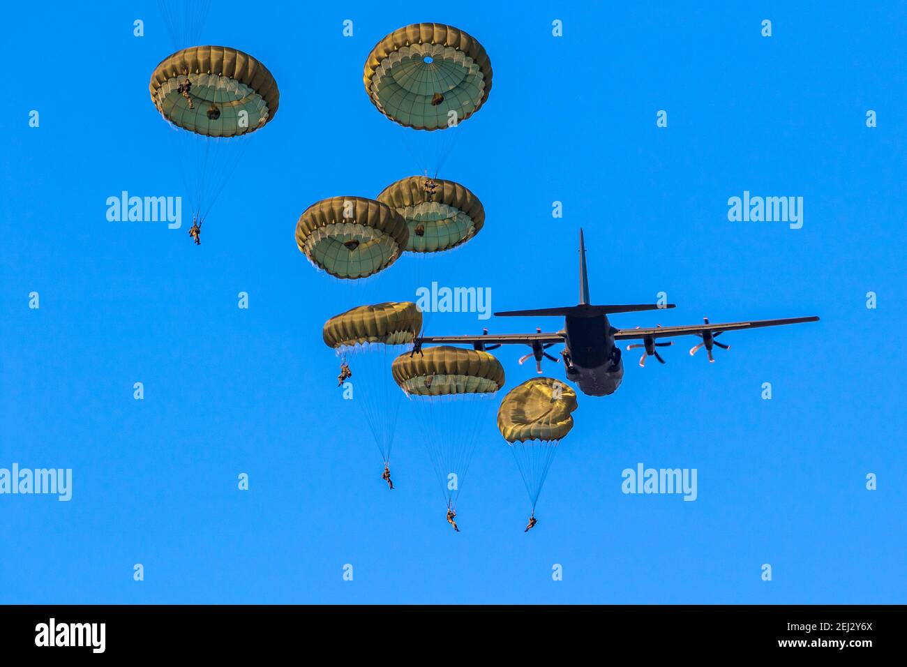 Military parachutist paratroopers parachute jumping out of a air force ...
