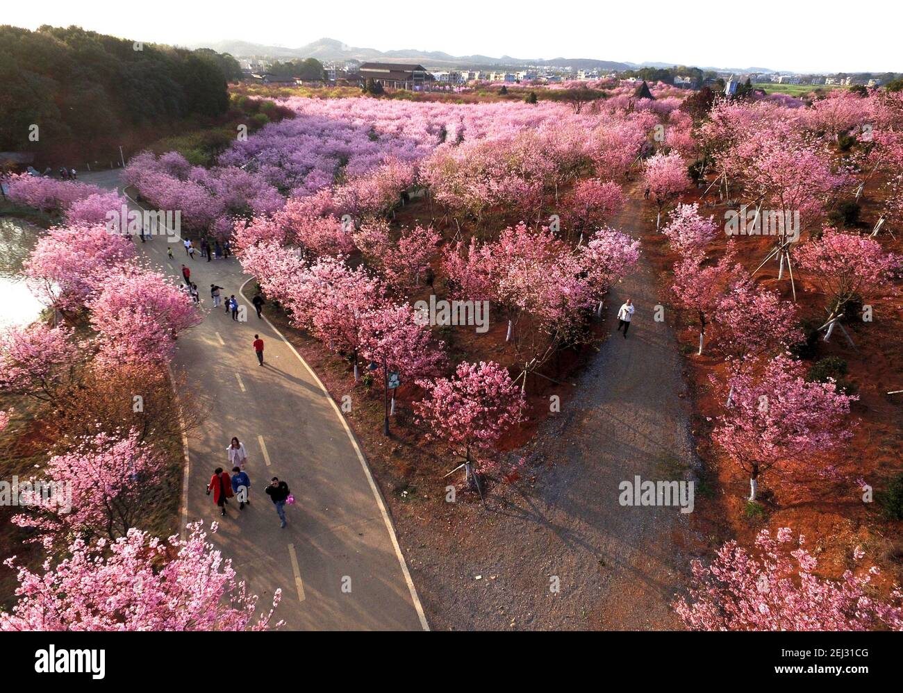 Changning High Resolution Stock Photography and Images - Alamy