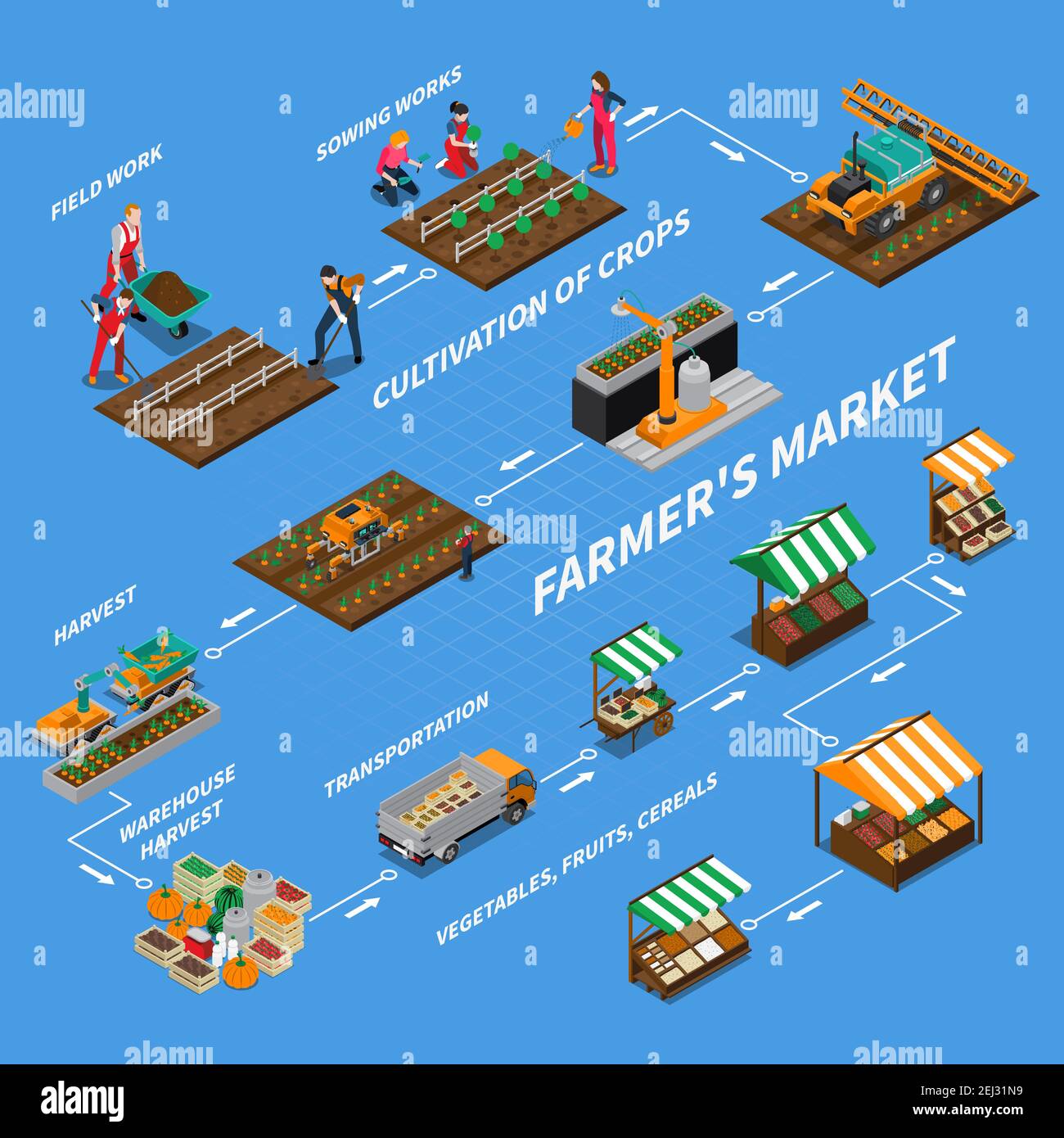 Farm local market isometric flowchart composition with isolated images representing different ...