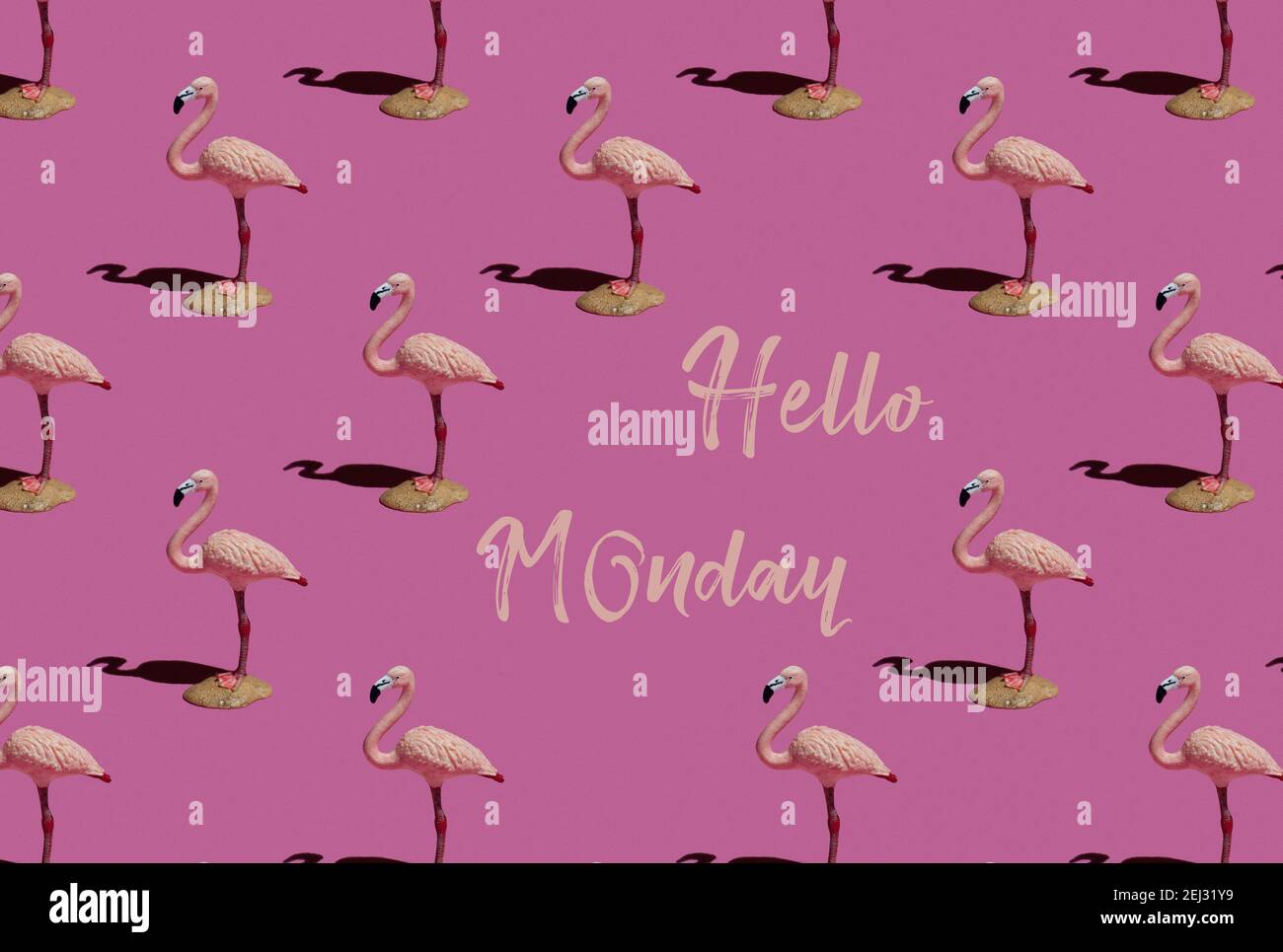 Hello Monday - text on pink background and flamingo pattern. Trendy ...
