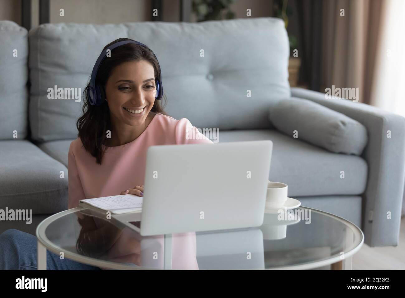 Indian female looking at pc screen talking by video call Stock Photo ...