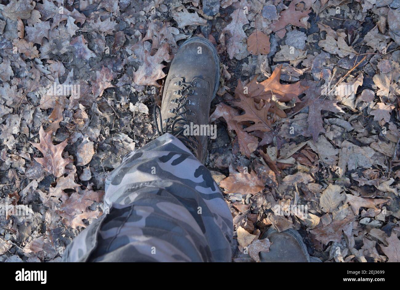 Top view of the legs of a hiker walking in shoes into the woods Stock ...