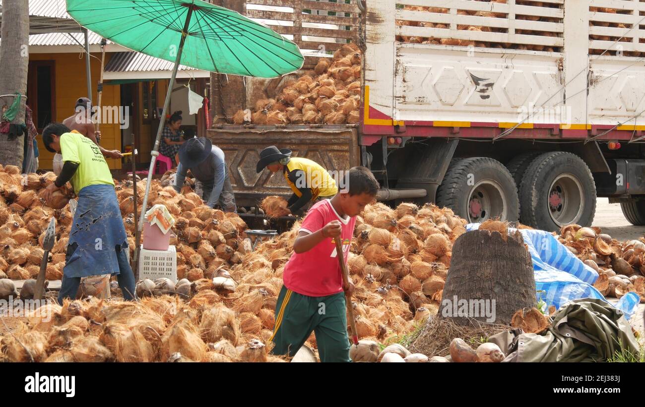 KOH SAMUI ISLAND, THAILAND - 1 JULY 2019: Asian thai men working on ...
