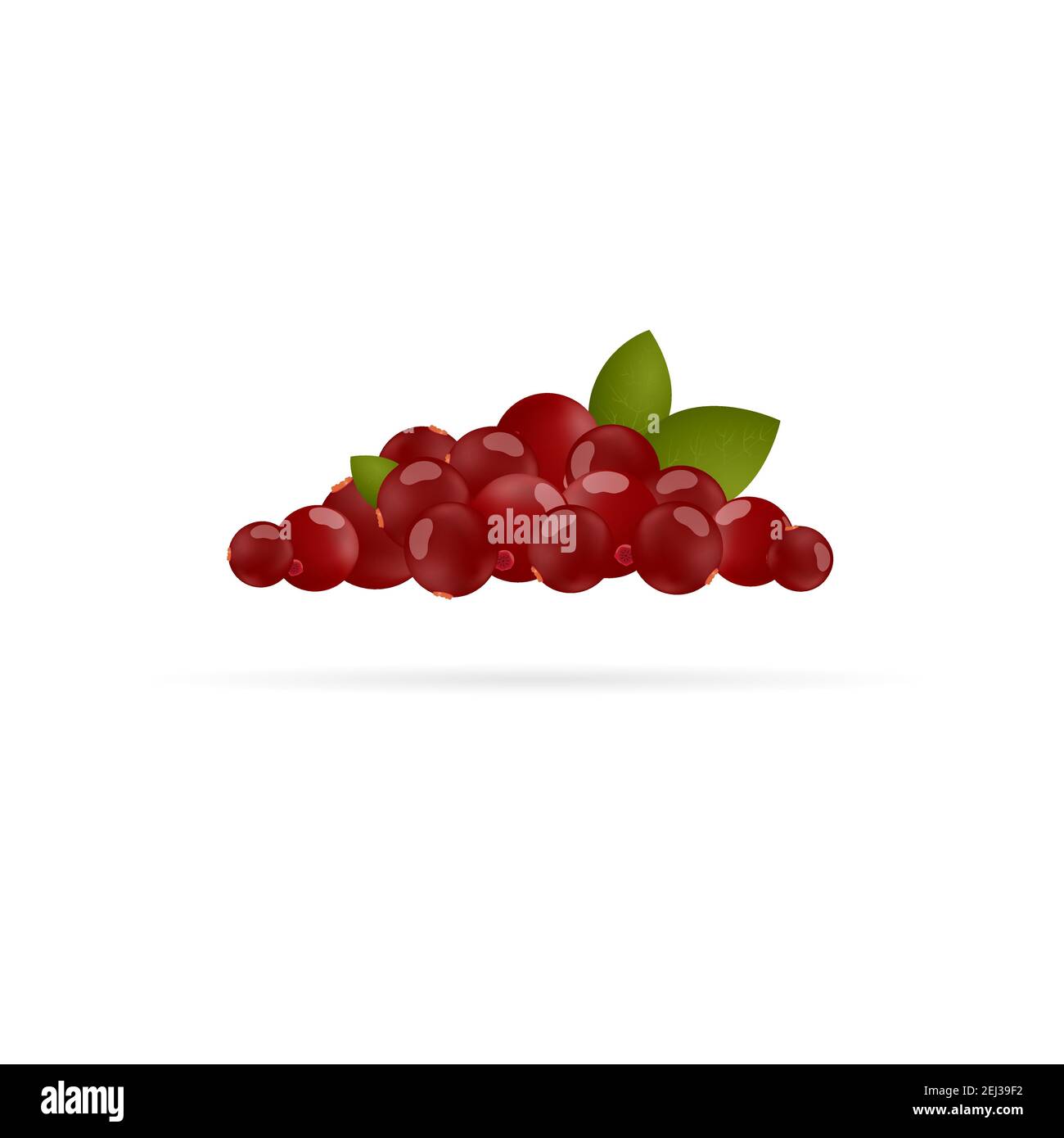 Set of cranberries with leaves on a white background. Vector ...