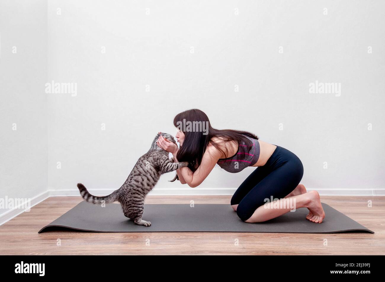 Yoga cat pose hi-res stock photography and images - Alamy