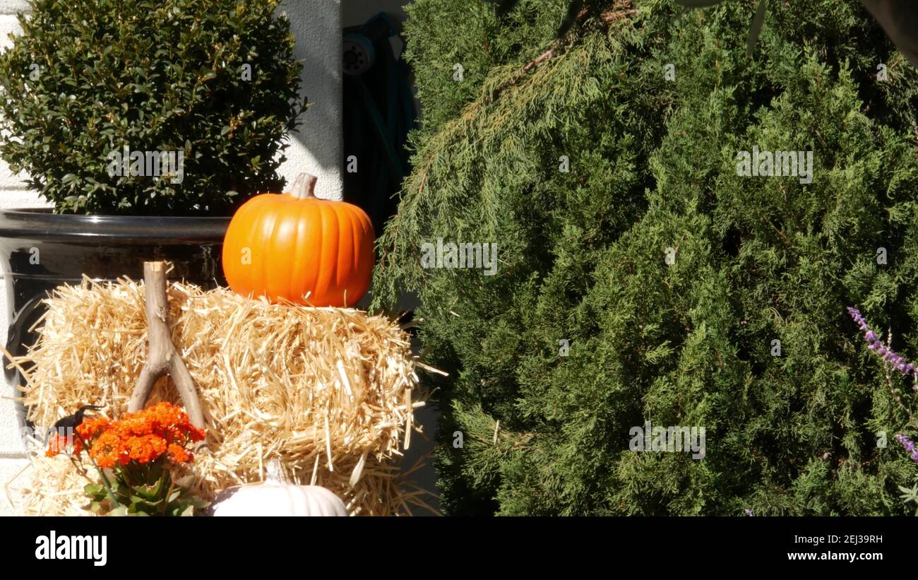 LOS ANGELES, CALIFORNIA, USA - 29 OCT 2019: Scary festival decorations ...