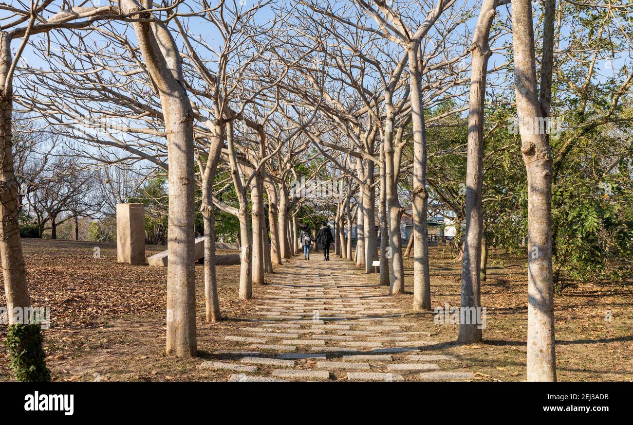 Taichung Metropolitan Park, an urban park in Xitun District, Taichung ...