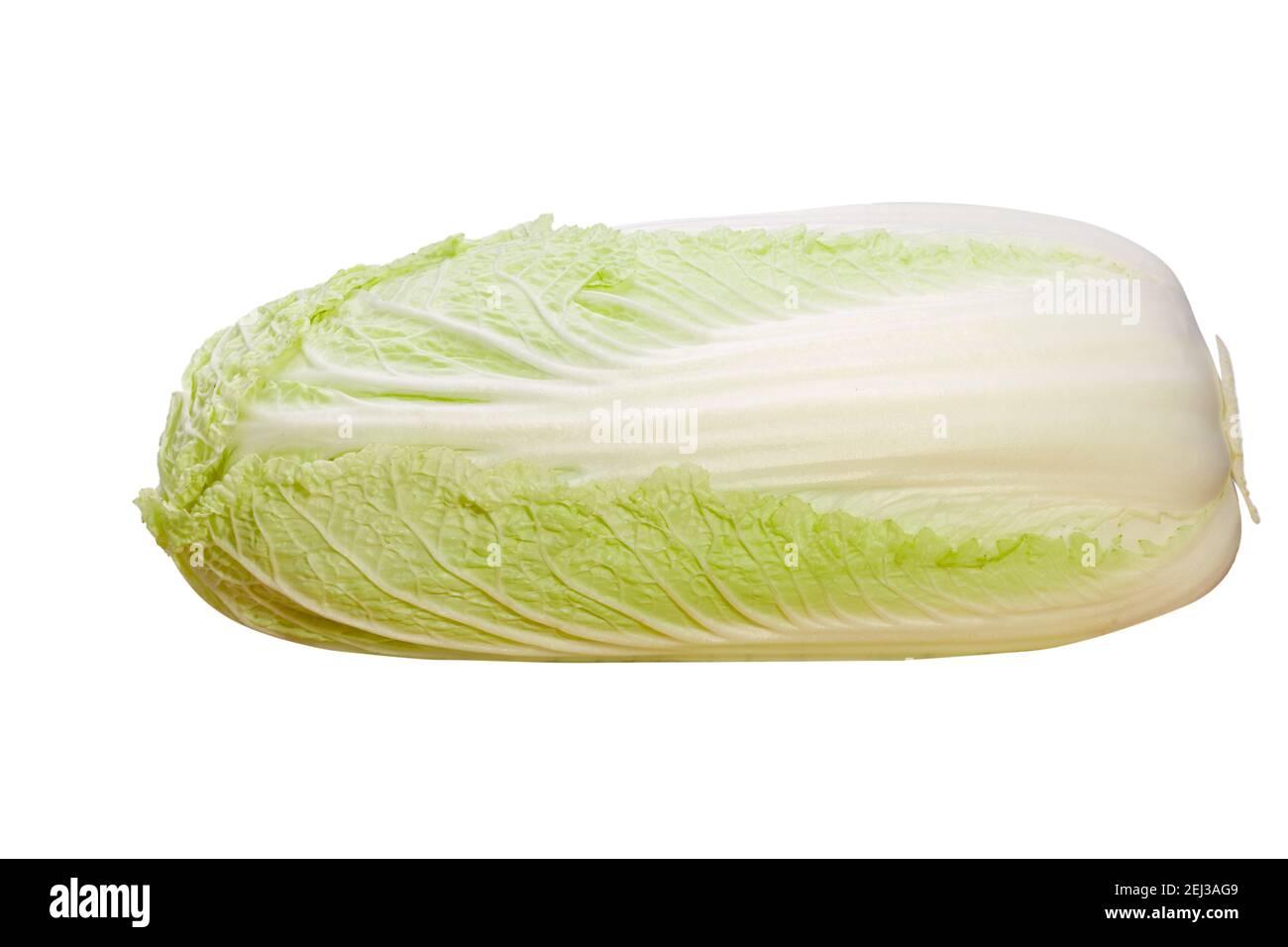 Beijing cabbage isolated on a white background. High quality photo ...