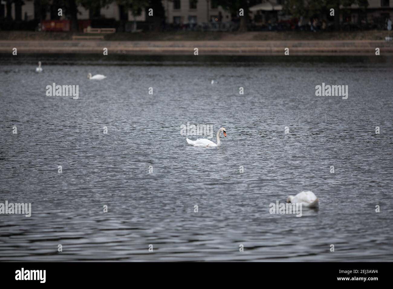 Lakes in copenhagen denmark hi-res stock photography and images - Alamy