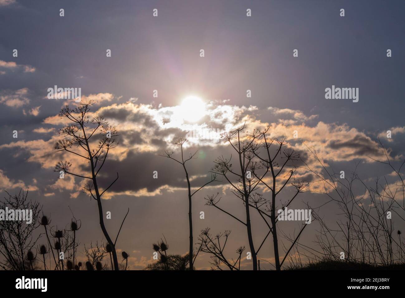 Clouds and Sun Stock Photo - Alamy