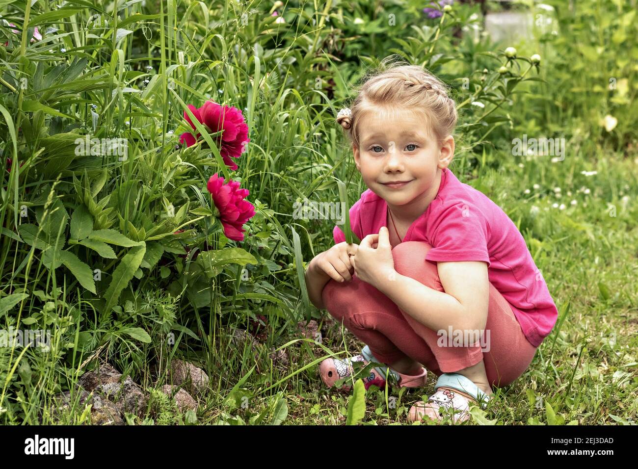 A little girl sits smiling at a flower bed in the garden of pink ...