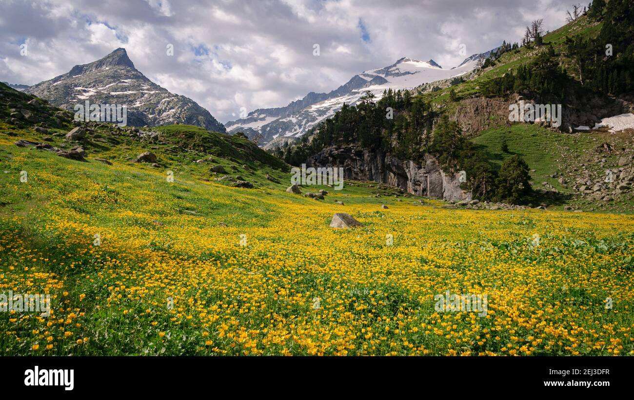 Paisaje con prados hi-res stock photography and images - Alamy