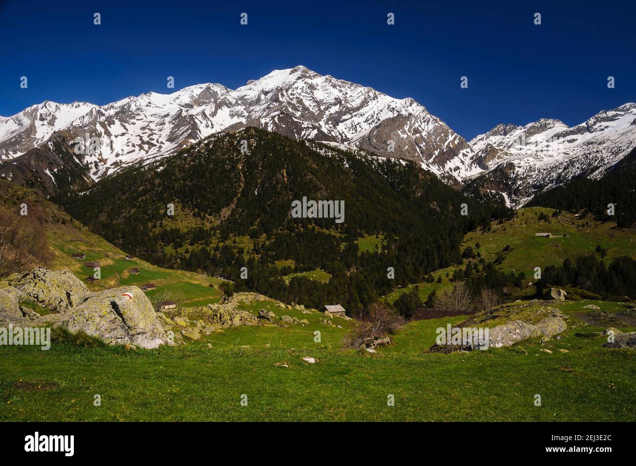 Pico posets hi-res stock photography and images - Alamy