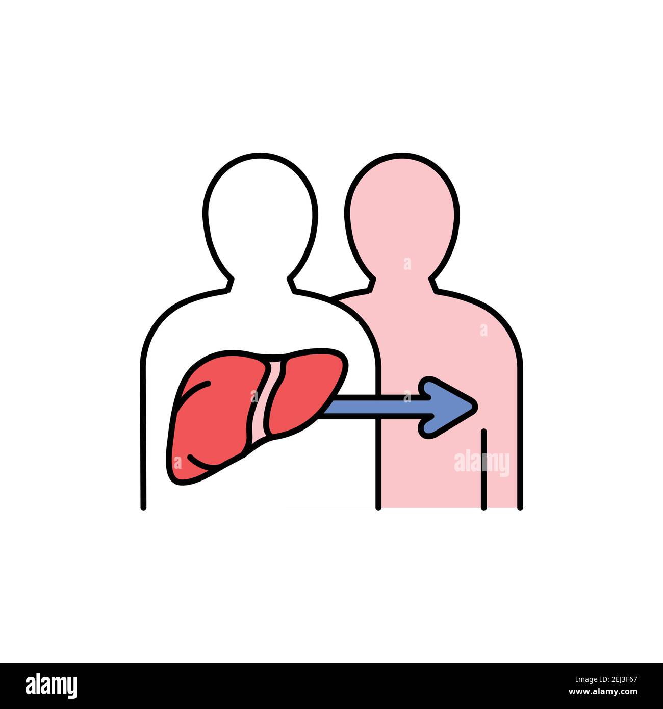 Liver transplant color line icon. Donor organ. Pictogram for web page ...