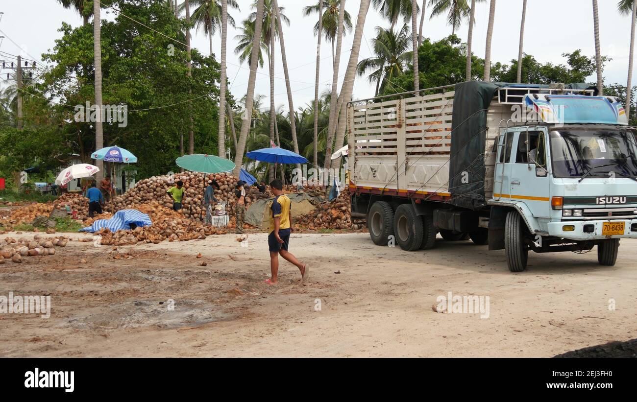 KOH SAMUI ISLAND, THAILAND - 1 JULY 2019: Asian thai men working on ...