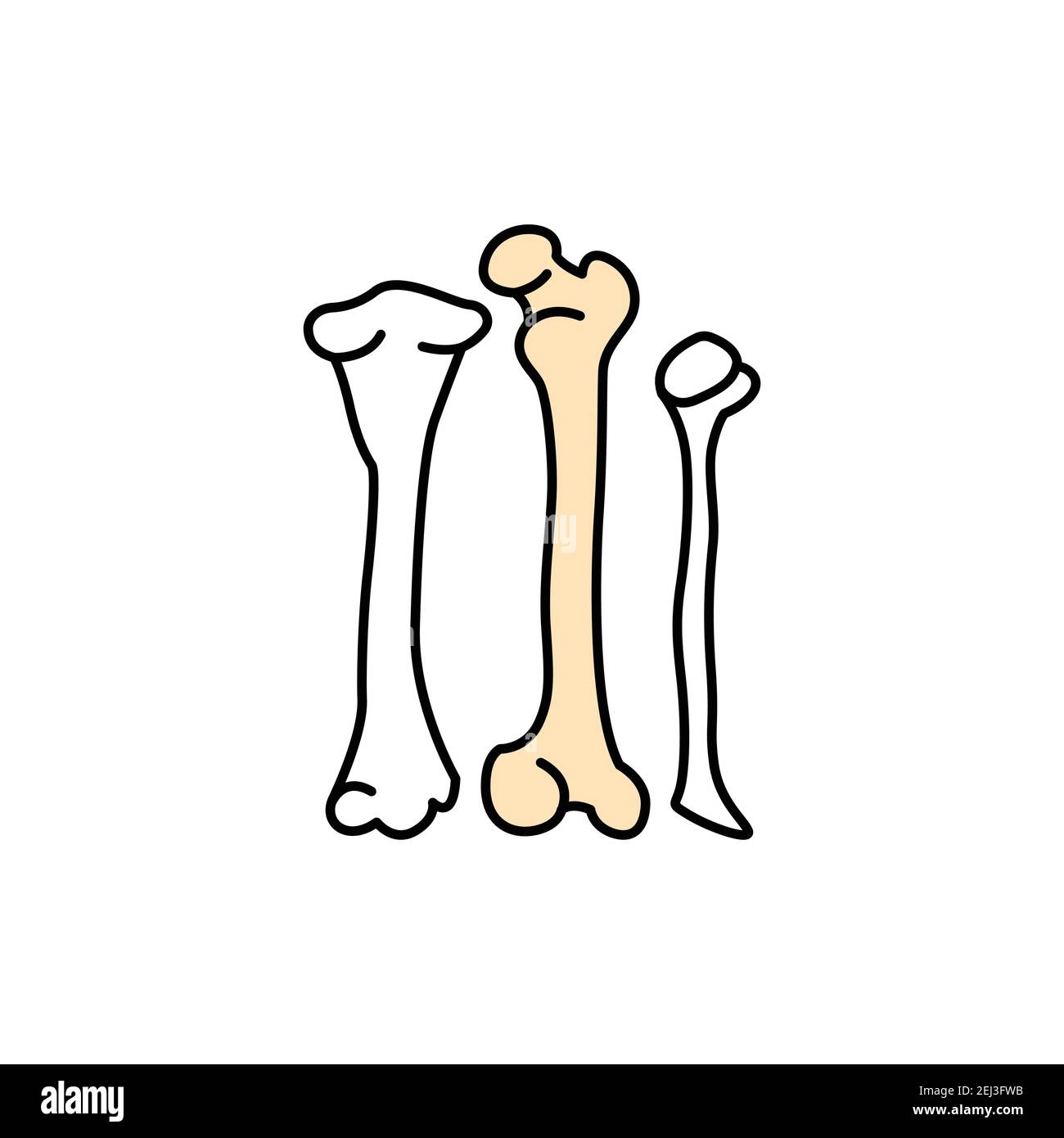Human organ bone color line icon. Pictogram for web page, mobile app ...