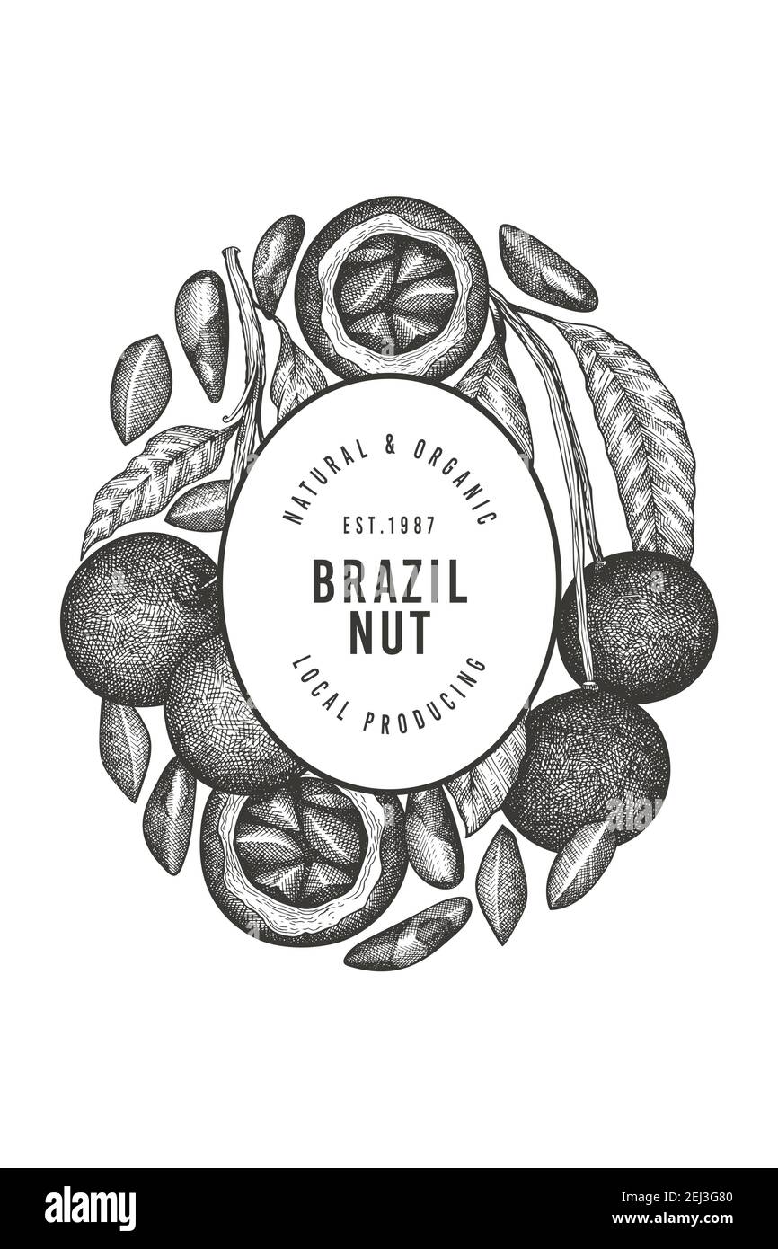 Brazilian nut tree Stock Vector Images - Alamy