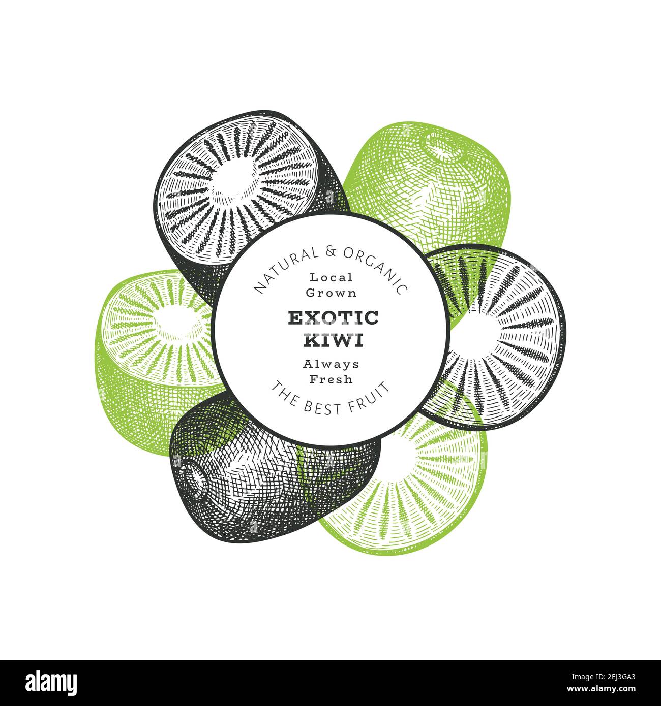 Hand drawn sketch style kiwi banner. Organic fresh fruit vector ...