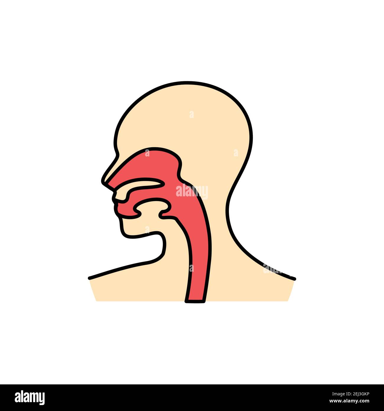 Human organ esophagus color line icon. Pictogram for web page, mobile ...