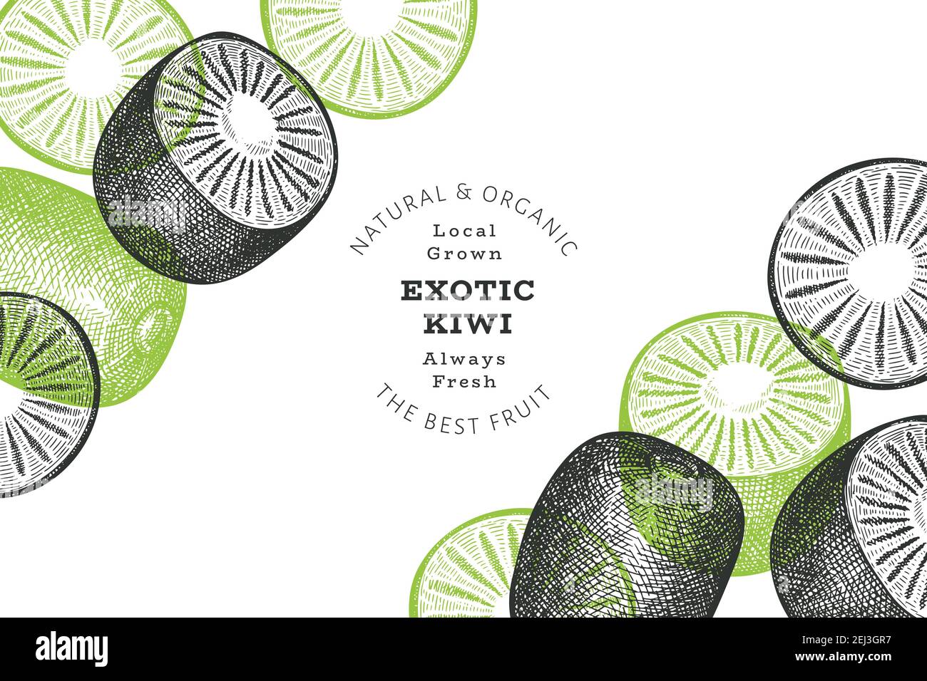 Hand drawn sketch style kiwi banner. Organic fresh fruit vector ...