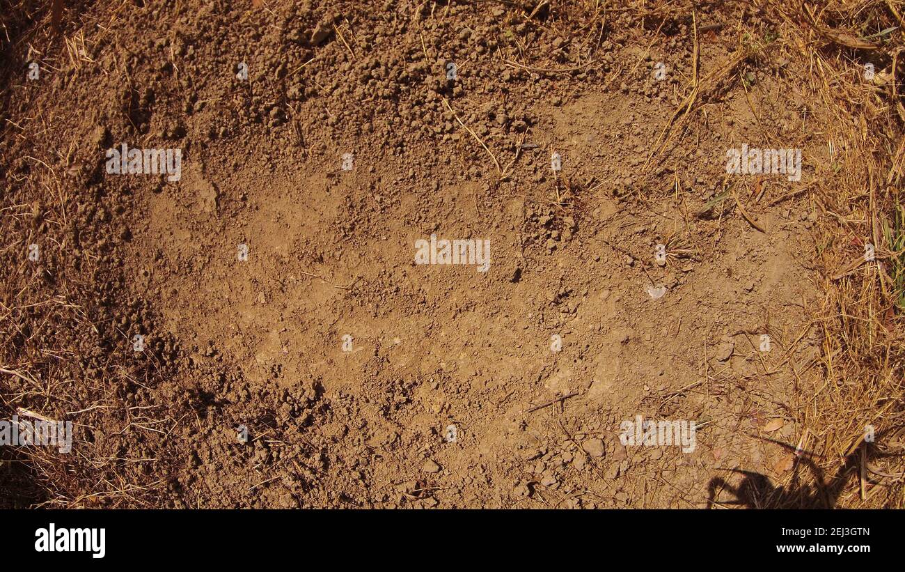 A brown soil texture background Stock Photo - Alamy