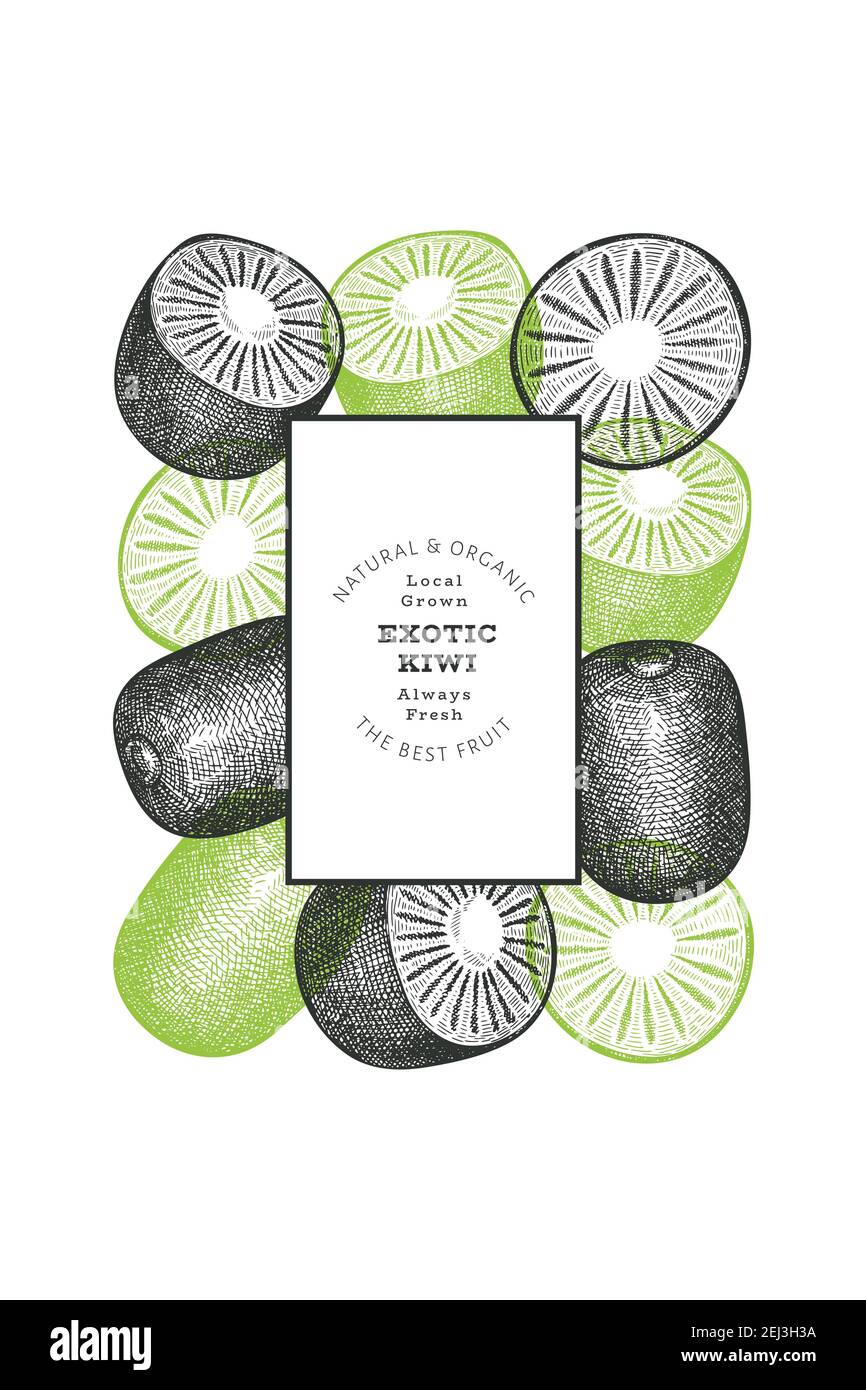 Hand drawn sketch style kiwi banner. Organic fresh fruit vector ...