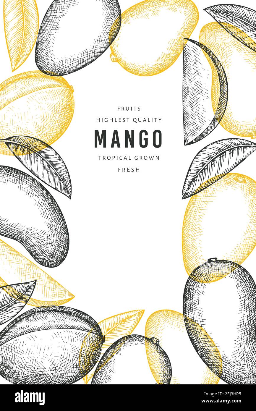 Hand drawn sketch style mango banner. Organic fresh fruit vector ...