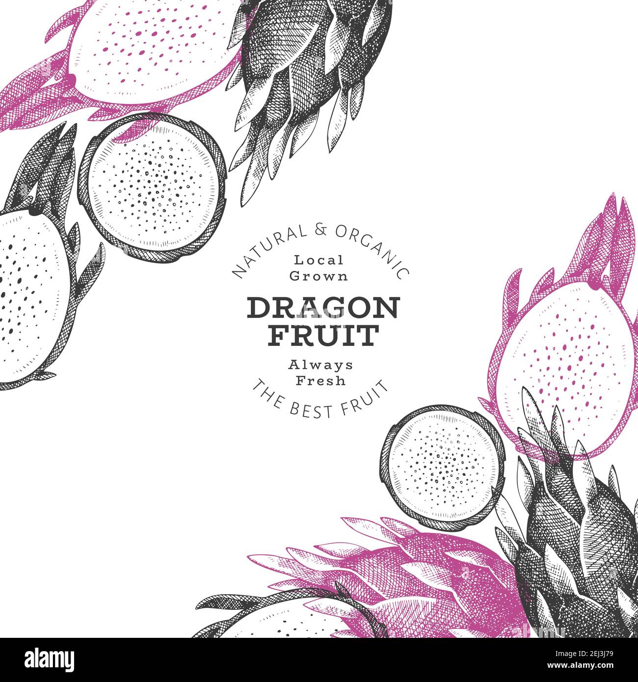 Hand drawn dragon fruit design template. Organic fresh food vector ...