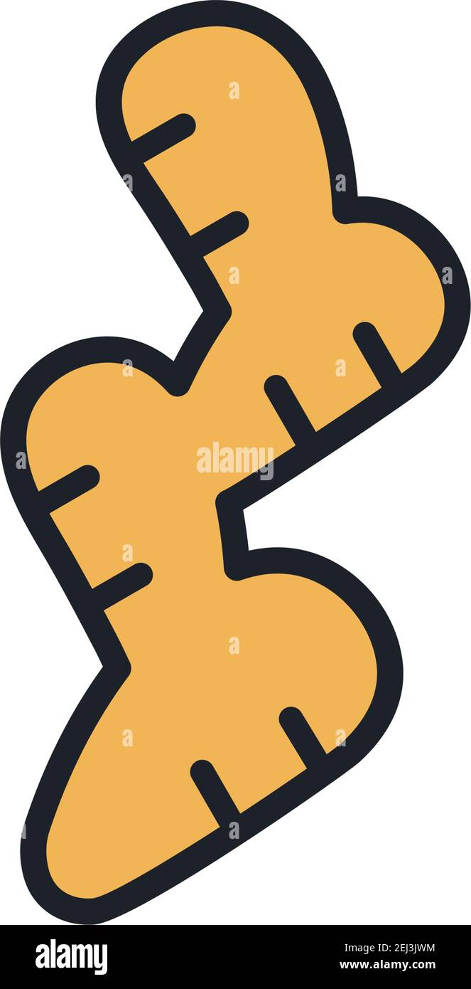 Ginger icon. Linear color icon, contour, shape, outline isolated on ...