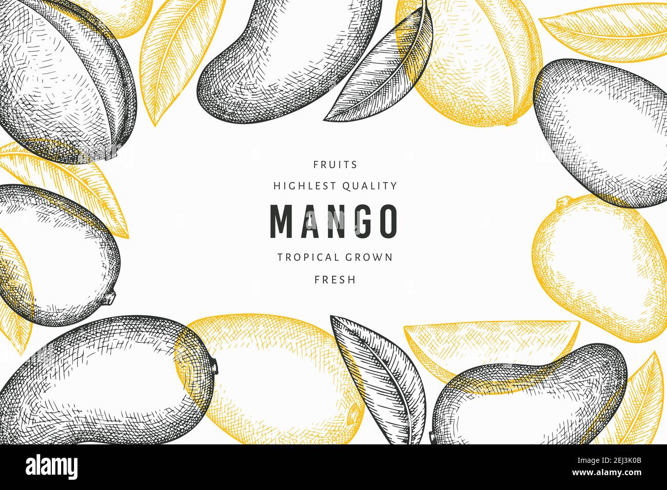 Hand drawn sketch style mango banner. Organic fresh fruit vector ...