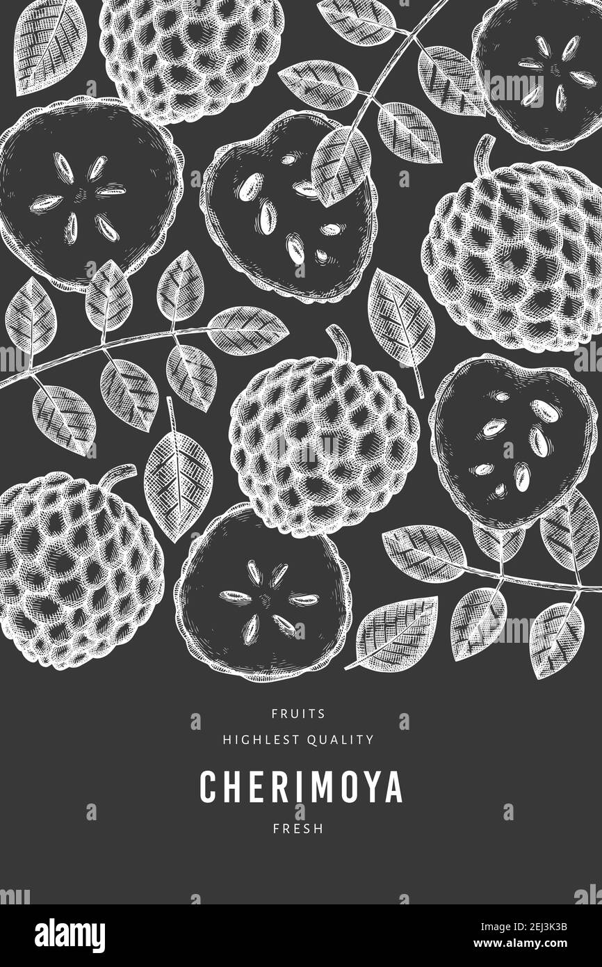 Hand drawn sketch style cherimoya banner. Organic fresh fruit vector ...