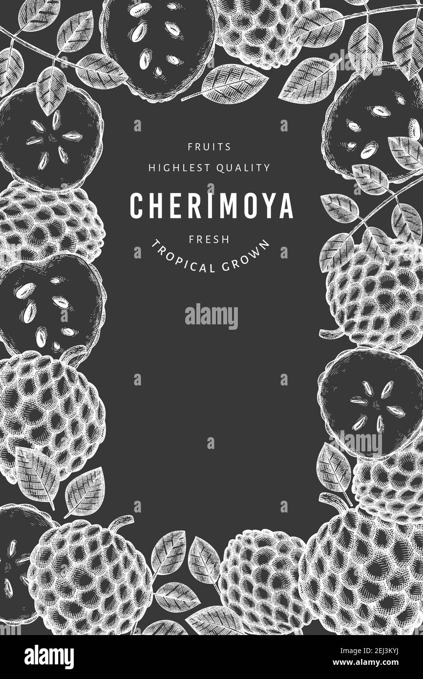 Hand drawn sketch style cherimoya banner. Organic fresh fruit vector ...
