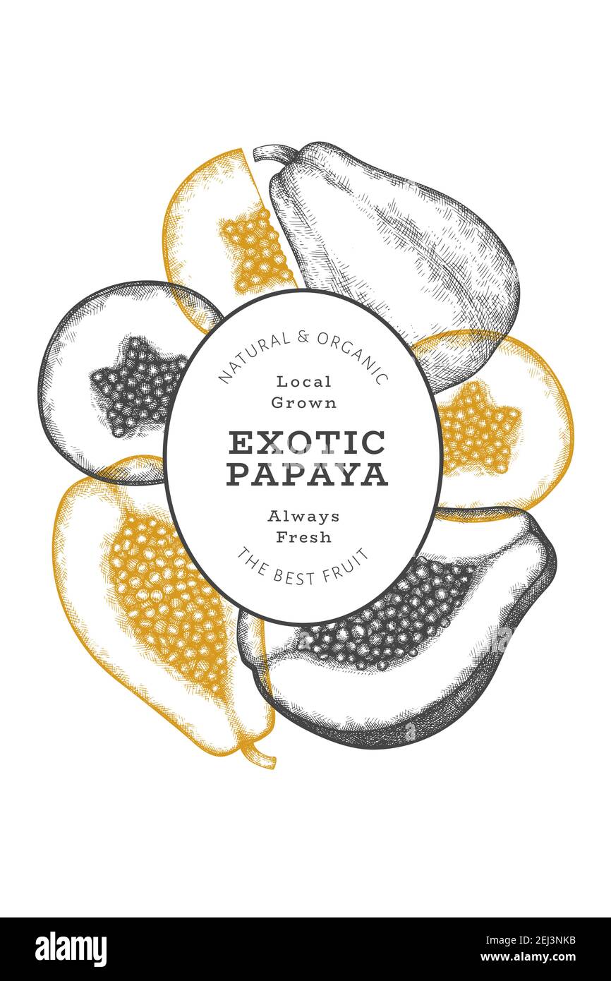 Hand drawn sketch style papaya banner. Organic fresh fruit vector ...
