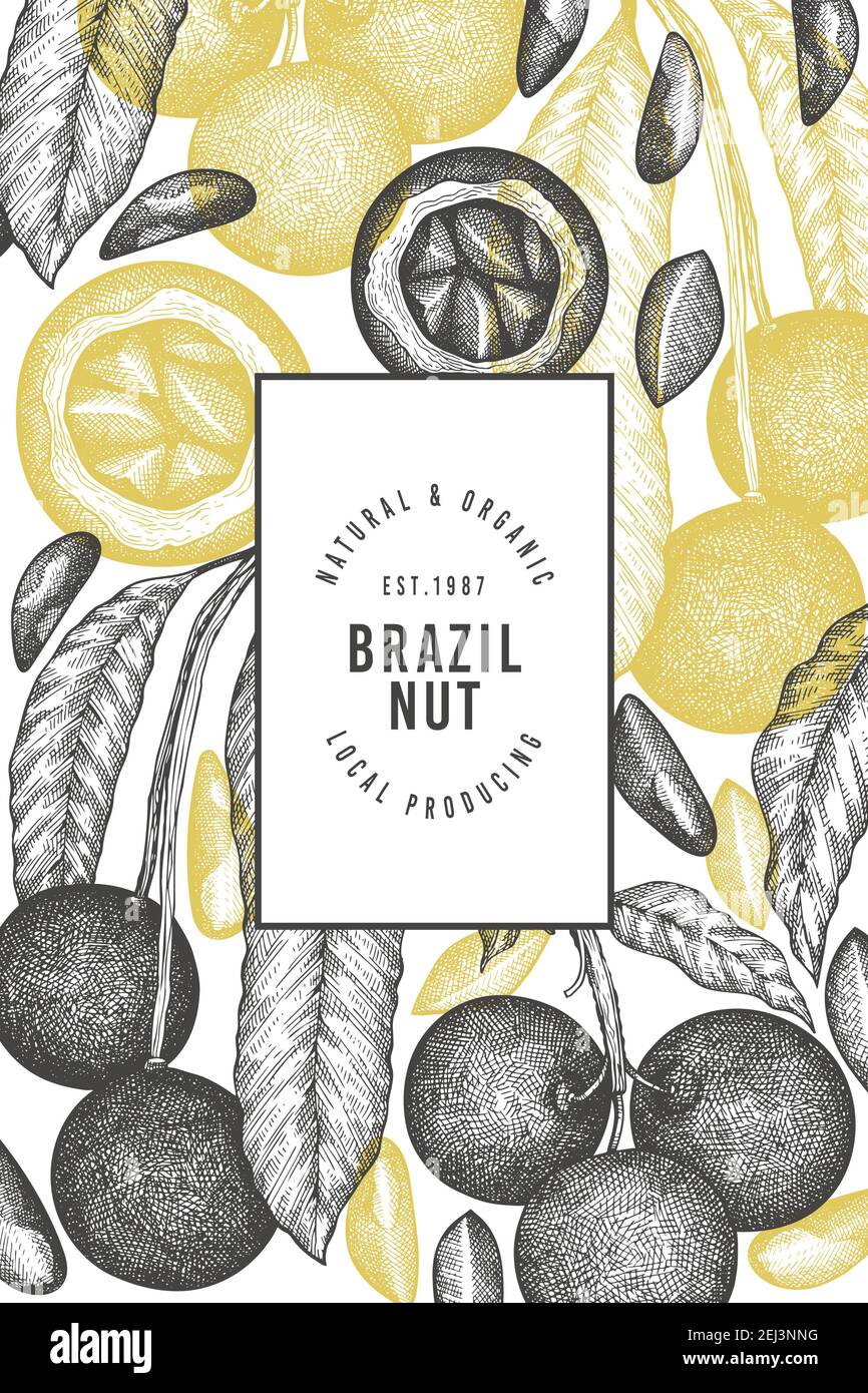 Brazilian nut tree Stock Vector Images - Alamy