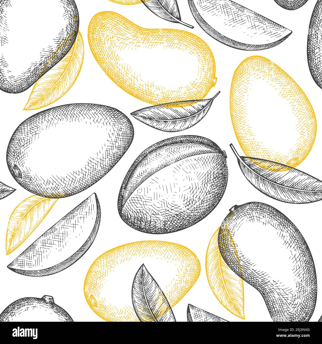 Hand drawn sketch style mango seamless pattern. Organic fresh fruit vector illustration. Retro ...