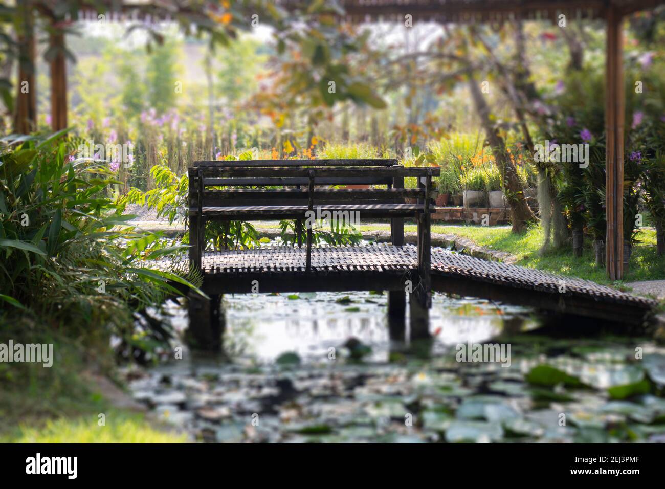 Simple resort furniture seat setting arrangement, stock photo Stock ...